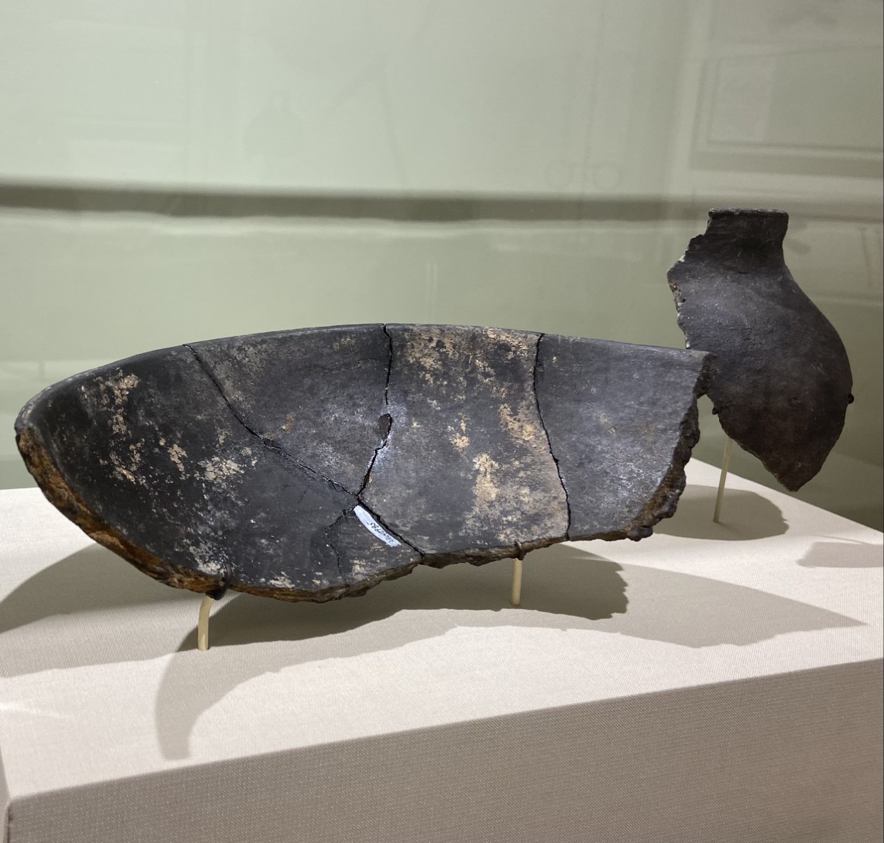 Africa to America - South Carolina Historical Society